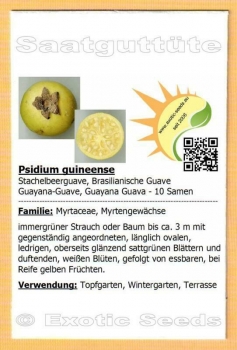 Exotic Seeds - Psidium guineense, 10 Samen