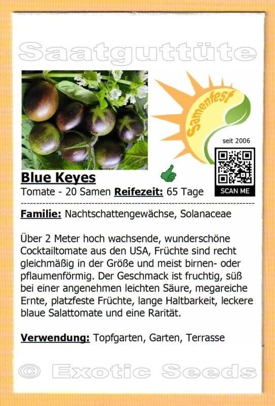 Exotic Seeds - Tomate * Blue Keyes * 20 Samen